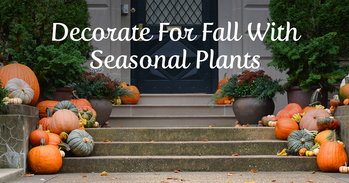 How to Decorate for Fall with Seasonal Plants | Boesen The Florist
